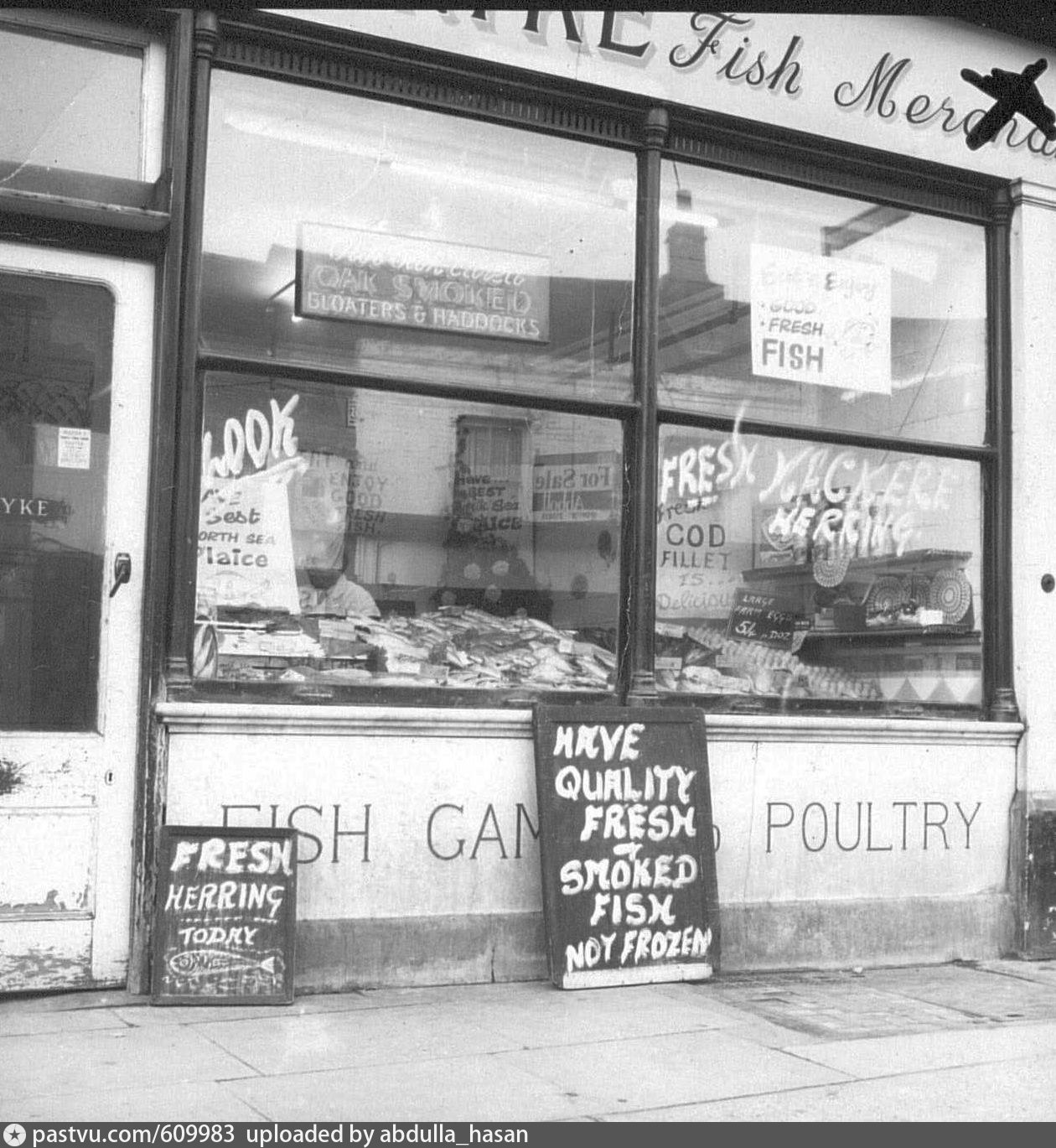 Fish Merchant Fish Merchant